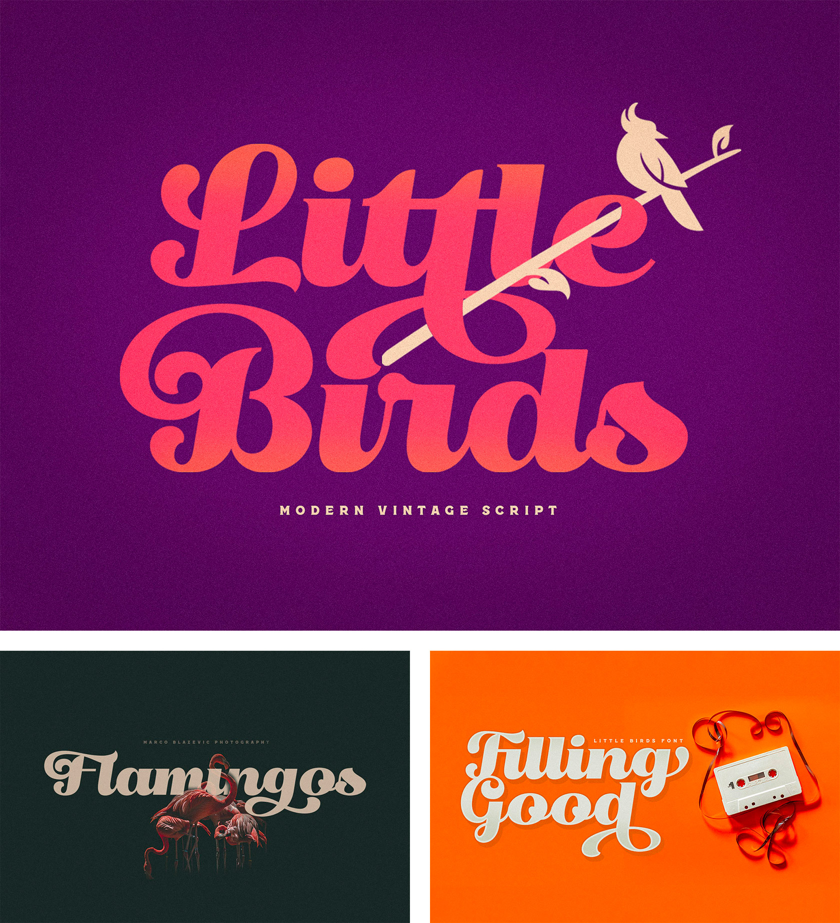 Best Free & Premium Fonts for Graphic Design in 2022 | Daily design ...