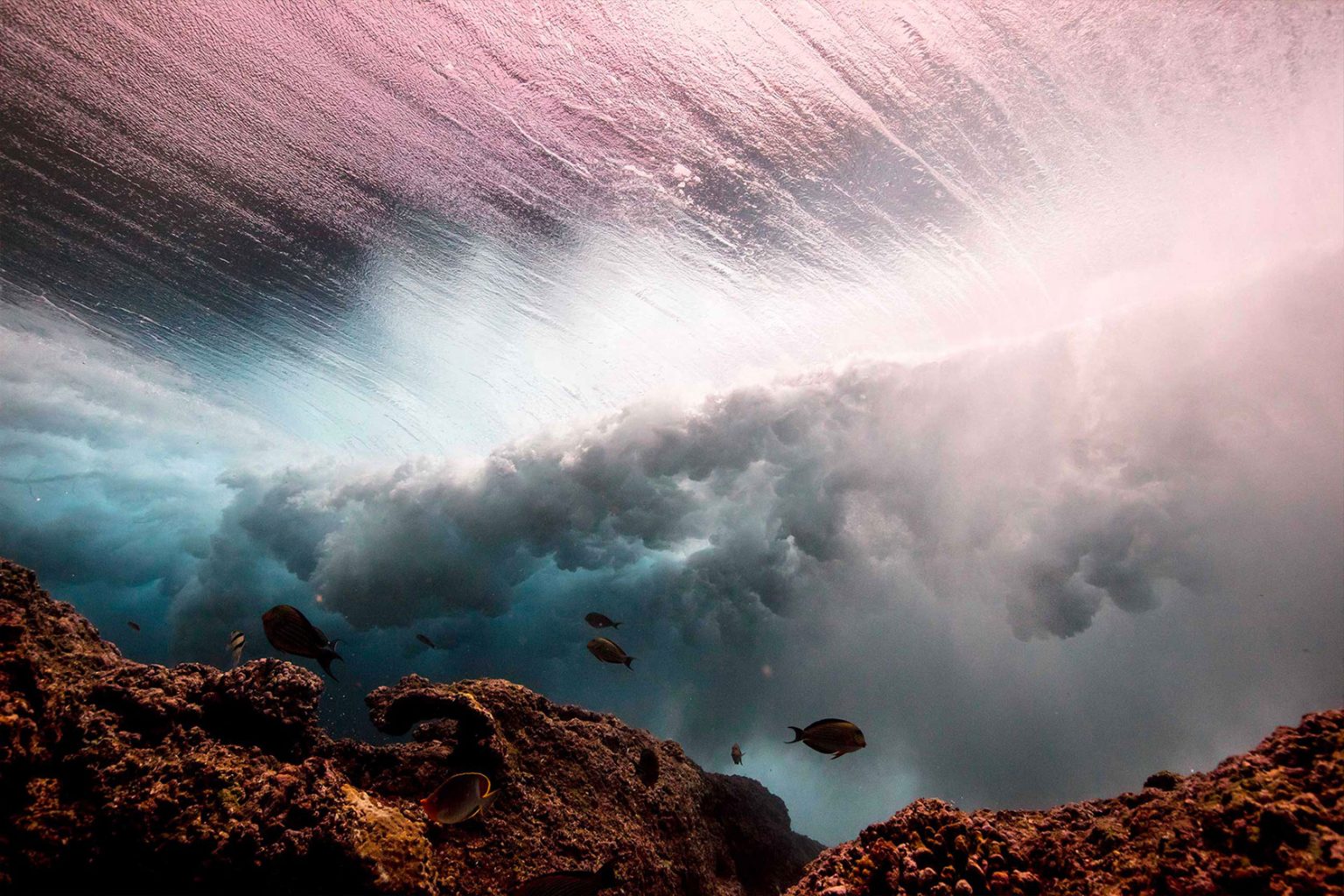 Below the Breaking Wave: Enthralling Photos by Matt Porteous | Daily ...
