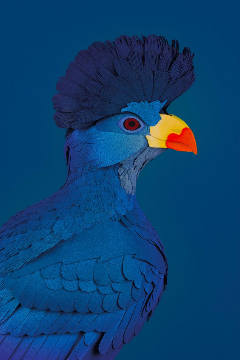 Marvelous Paper Creations by Diana Beltran Herrera | Daily design ...