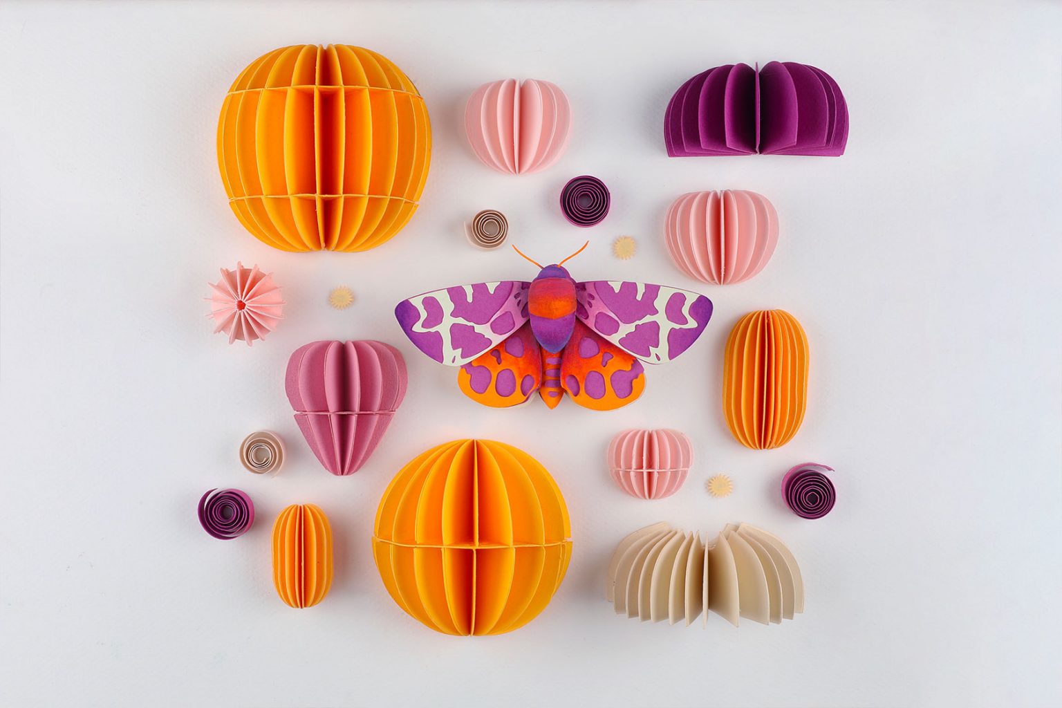 Marvelous Paper Creations by Diana Beltran Herrera | Daily design ...