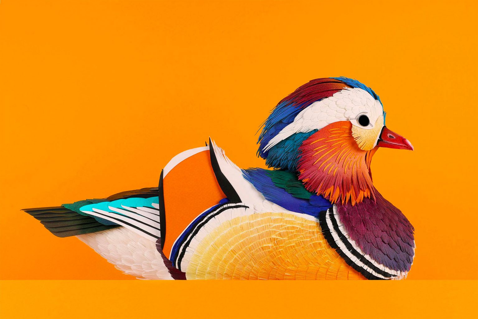 Marvelous Paper Creations by Diana Beltran Herrera | Daily design ...