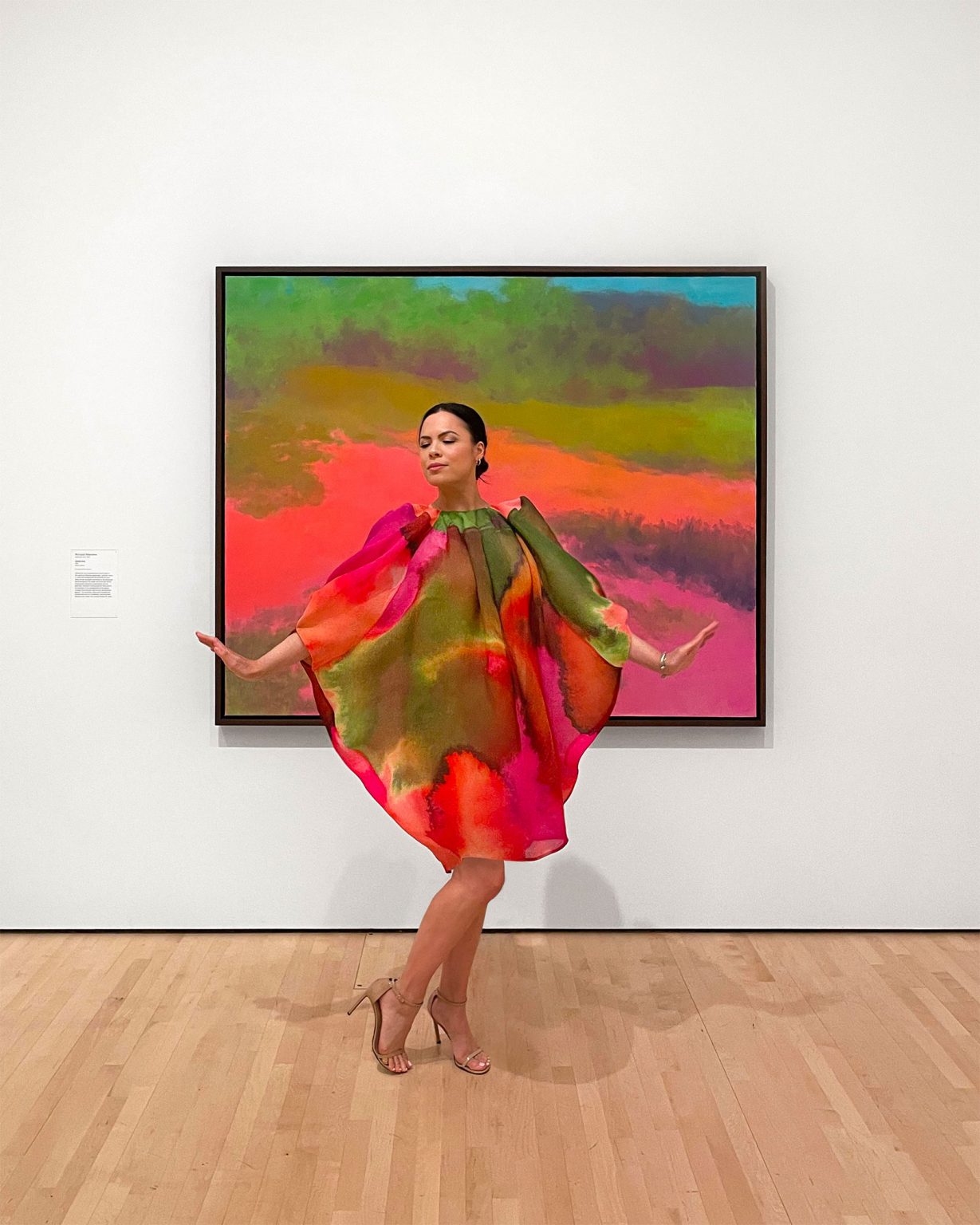 Dressed to Match: Fun Photographic Project by Michelle Satterlee ...