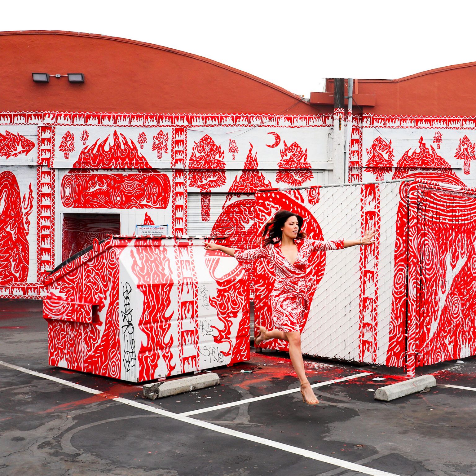 Dressed to Match: Fun Photographic Project by Michelle Satterlee ...