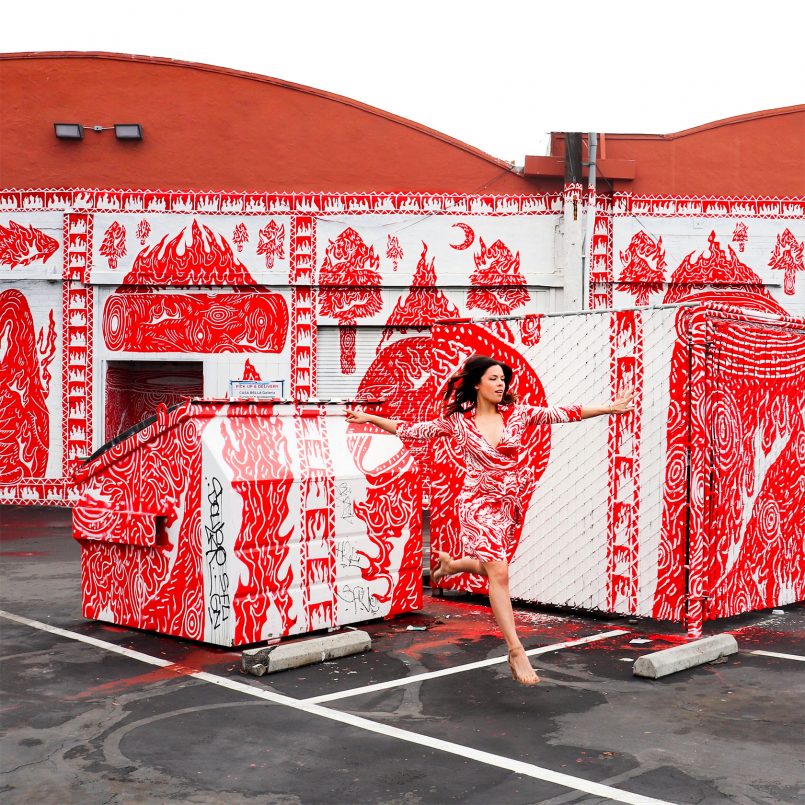 Dressed to Match: Fun Photographic Project by Michelle Satterlee ...