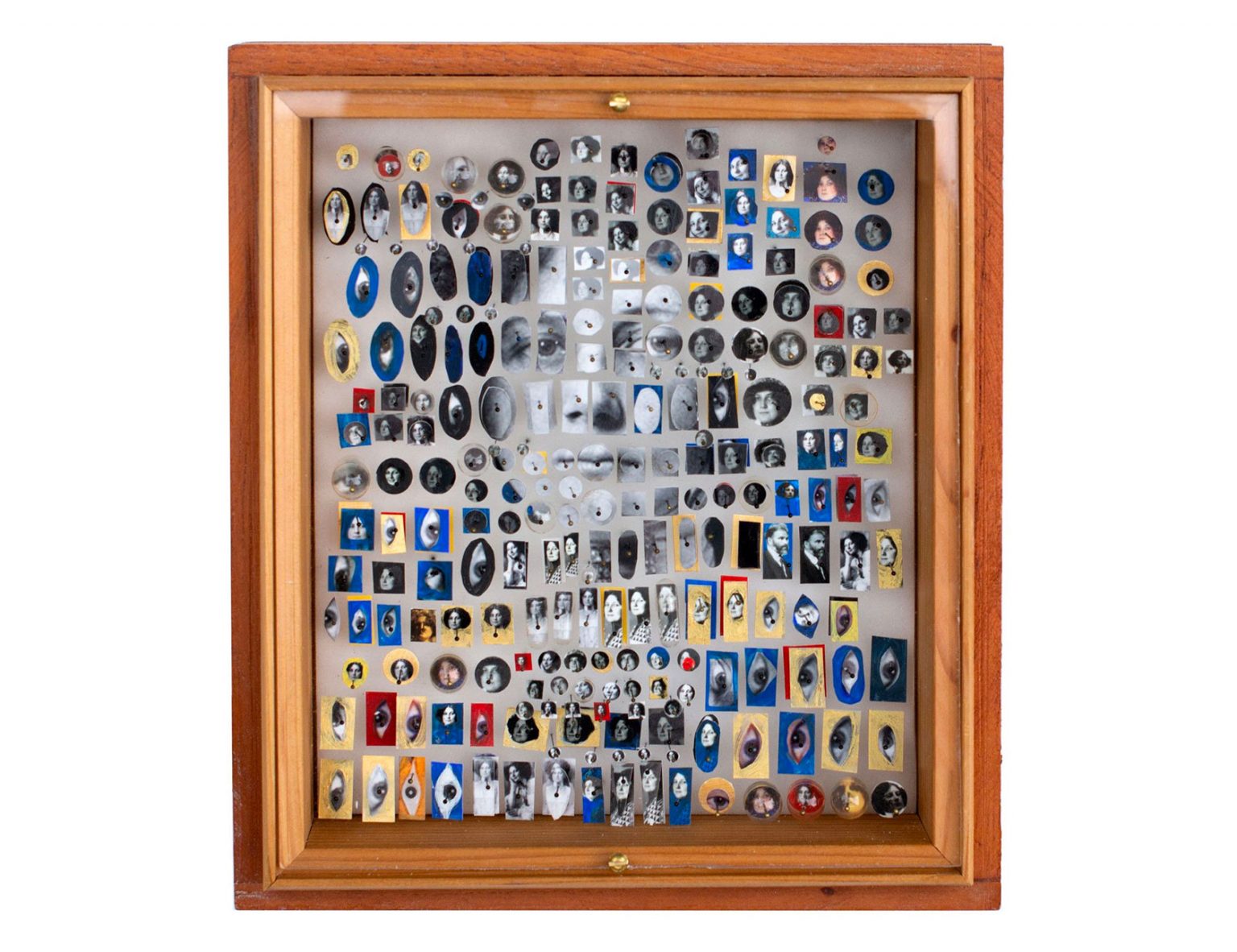 Specimens: Intricate Fragmented Portraits by Michael Mapes | Daily ...