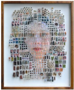 Specimens: Intricate Fragmented Portraits by Michael Mapes | Daily ...