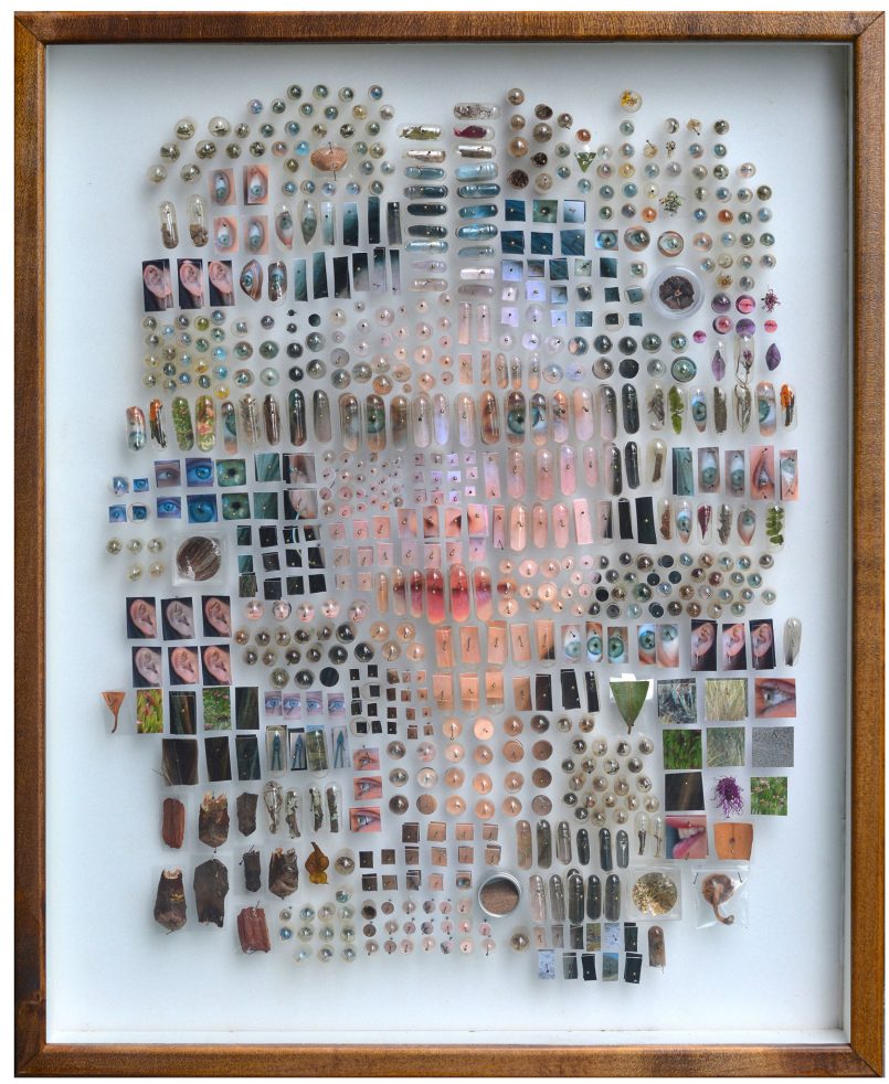 Specimens: Intricate Fragmented Portraits by Michael Mapes | Daily ...
