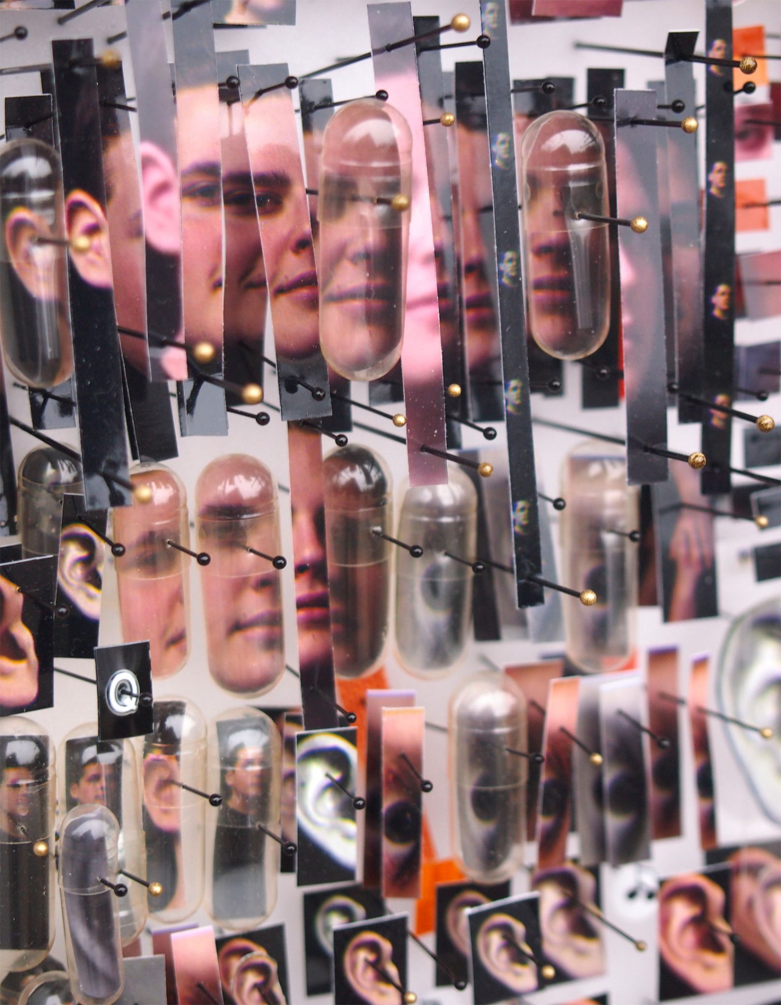 Specimens: Intricate Fragmented Portraits by Michael Mapes | Daily ...