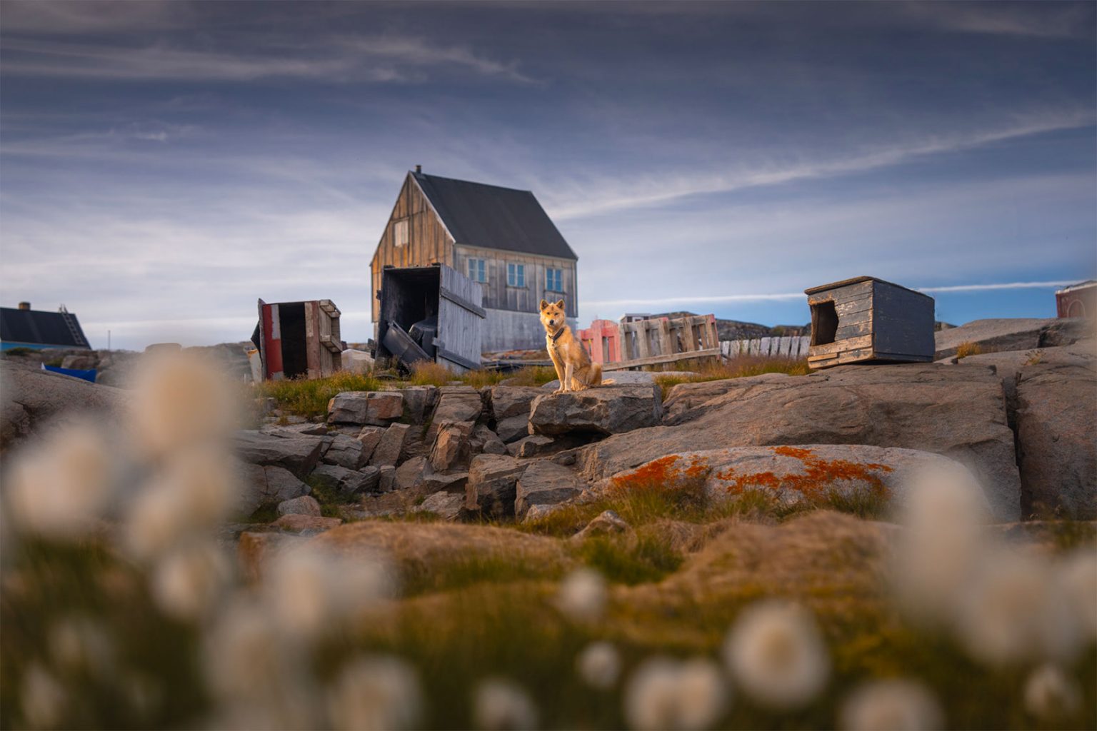 The Magic of Greenland: Photos by Albert Dros | Daily design inspiration for creatives ...