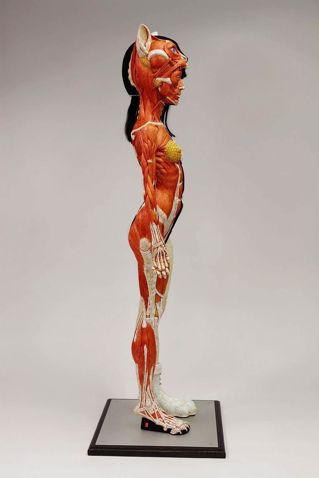Anatomical Sculptures by Masao Kinoshita | Daily design inspiration for ...