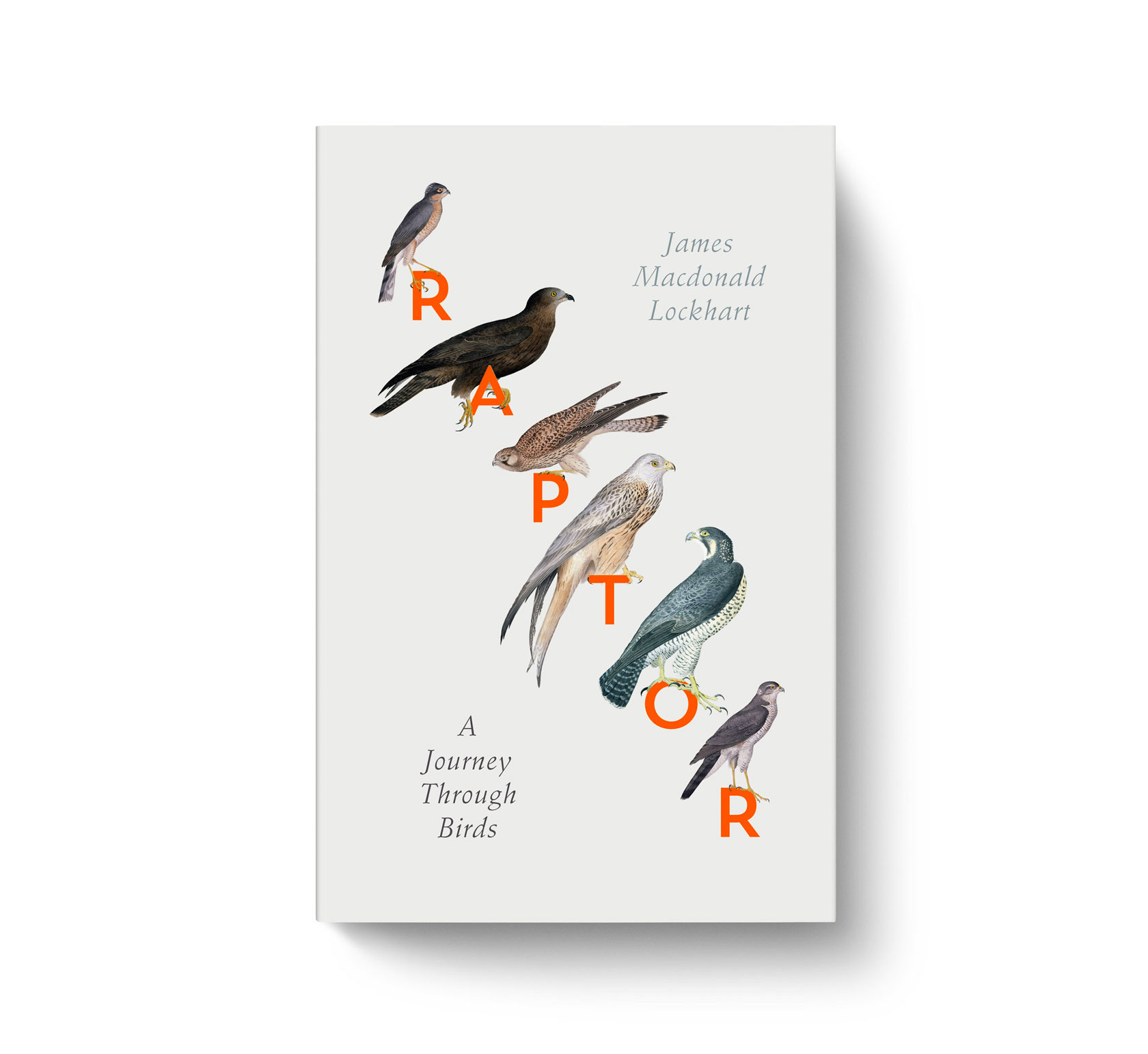 Great Book Cover Designs – The Bookcase No.8 | Daily design inspiration ...