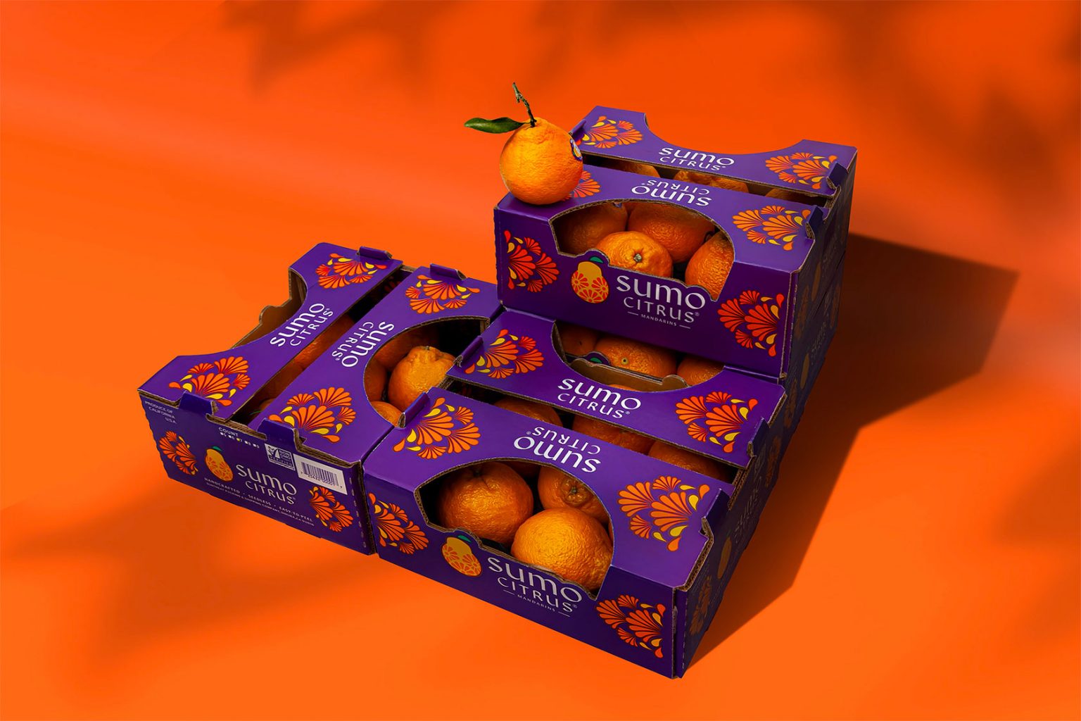 Vibrant & Colorful Packaging Design by Hatch | Daily design inspiration ...