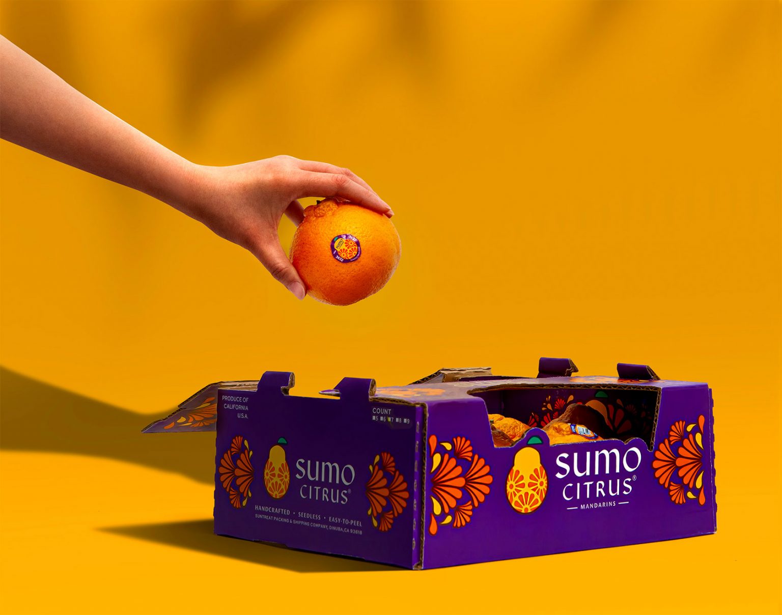 Vibrant & Colorful Packaging Design by Hatch | Daily design inspiration ...