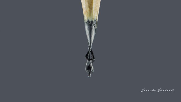 Graphite Pencil Sculptures by Jasenko Dordevic | Daily design ...