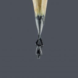 Graphite Pencil Sculptures by Jasenko Dordevic | Daily design ...