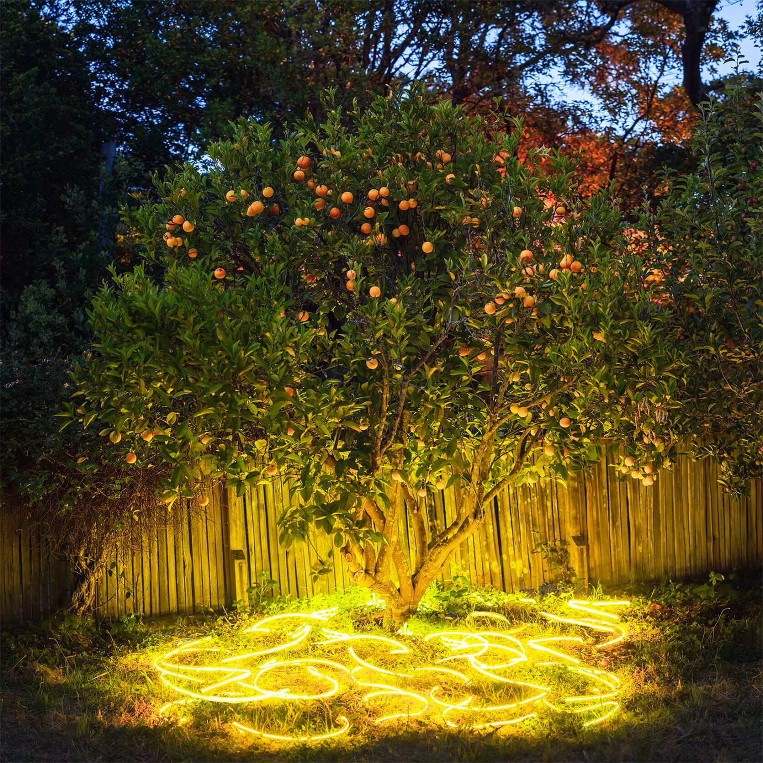 Illuminated Fields: Light Art Installations by Barry Underwood | Daily ...