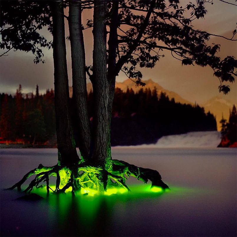 Illuminated Fields: Light Art Installations by Barry Underwood | Daily ...