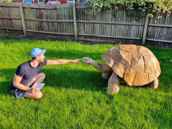 Cardboard Animal Sculptures by Josh Gluckstein | Daily design ...