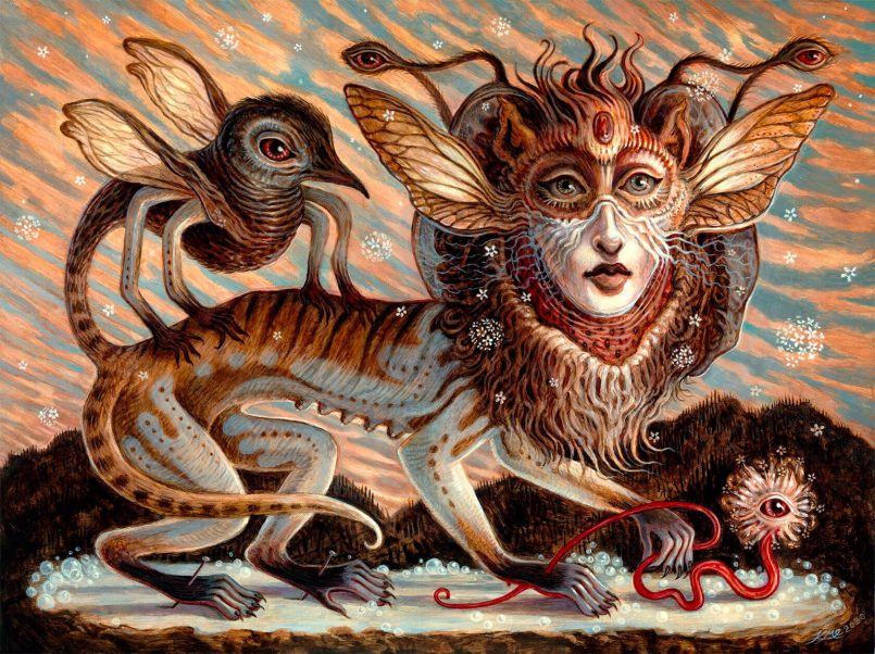 Metamorphosis: Outlandish Paintings by Kim Evans | Daily design ...