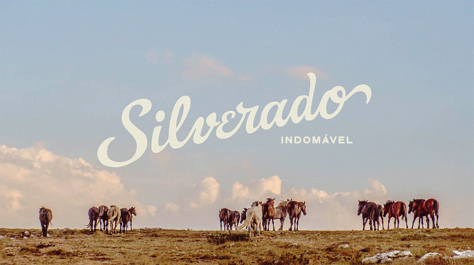 Beautiful Hand Lettering Creations by Matheus Mendes | Daily design ...