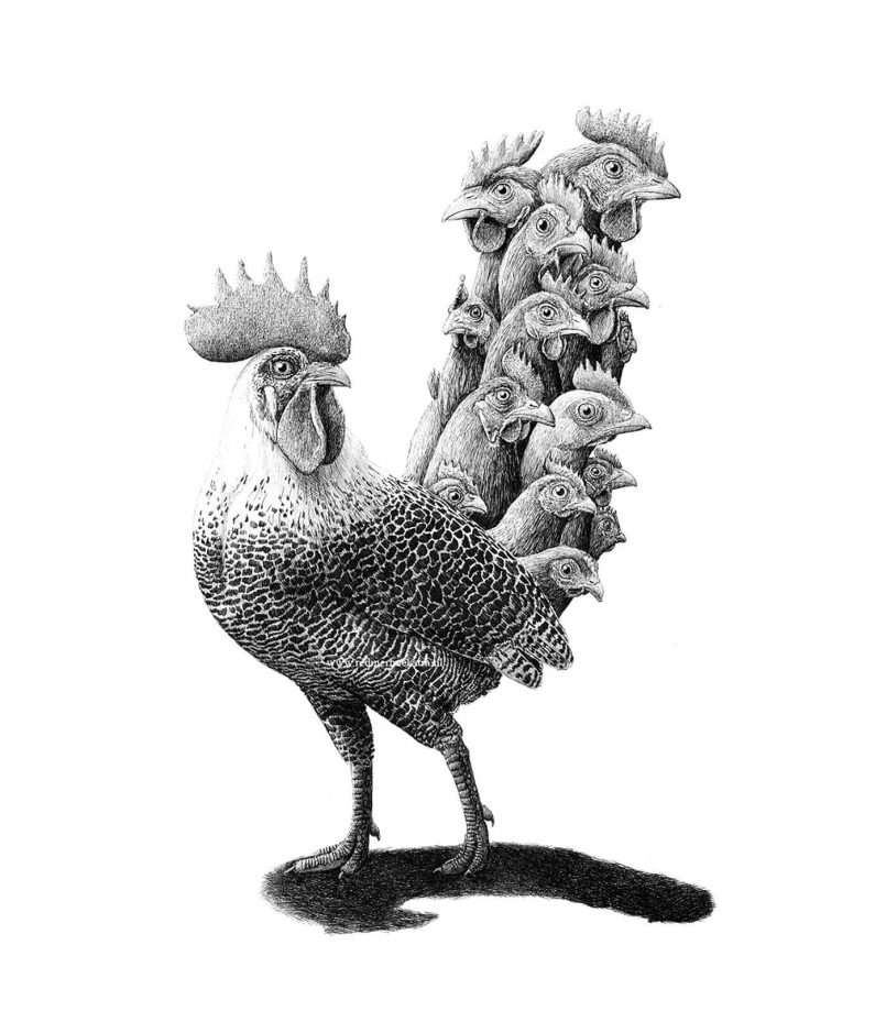 Whimsical Animal Drawings by Redmer Hoekstra | Daily design inspiration ...