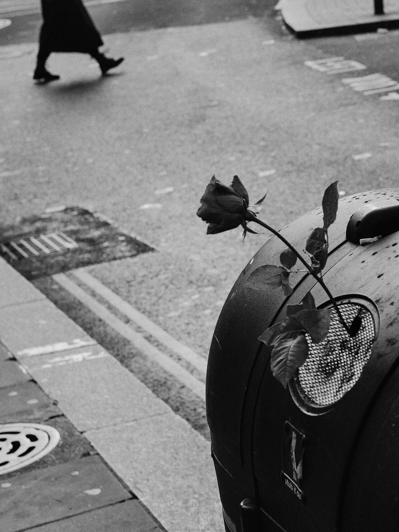 How This Platform is Redefining Photo Licensing | Daily design ...