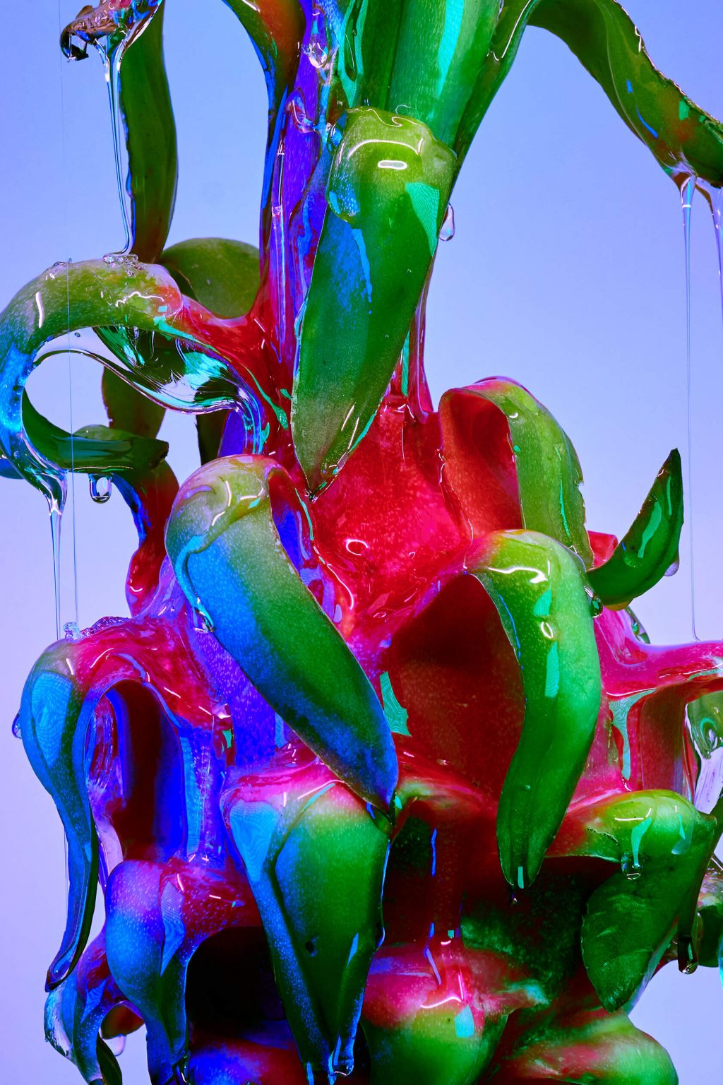 How This Platform is Redefining Photo Licensing | Daily design ...