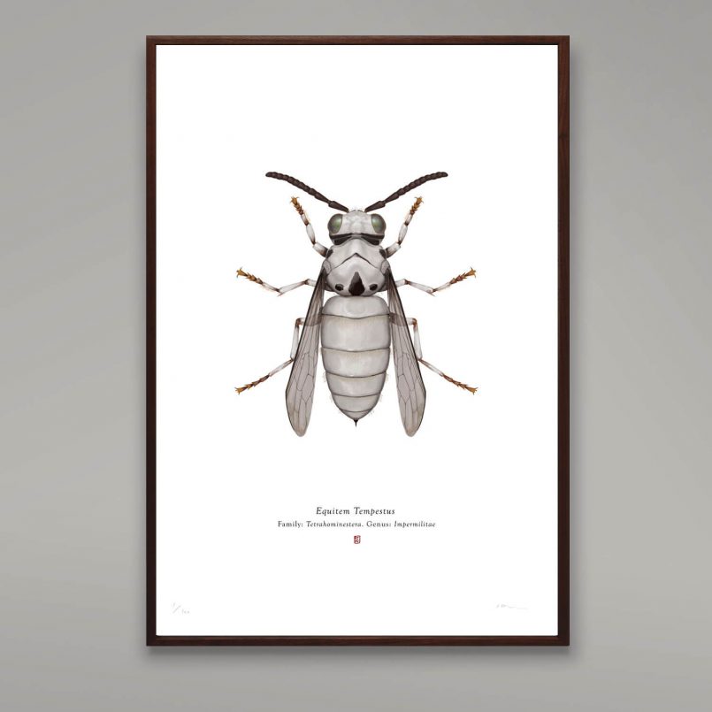 Arthropoda Iconicus: A Star Wars-Inspired Journey into the World of ...
