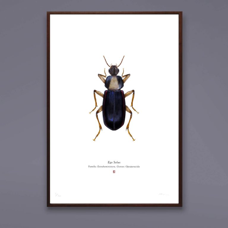 Arthropoda Iconicus: A Star Wars-Inspired Journey into the World of ...