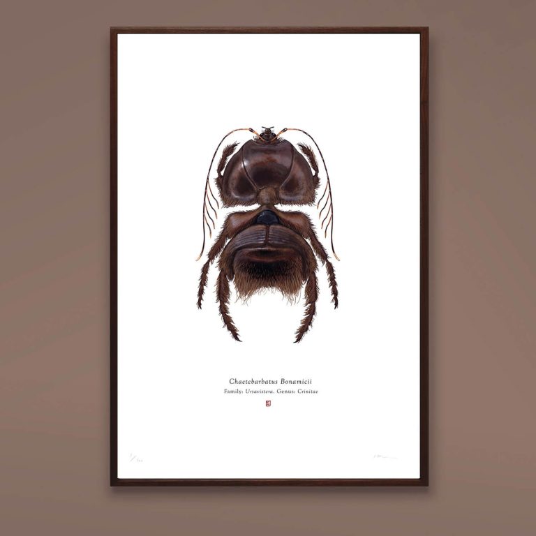 Arthropoda Iconicus: A Star Wars-Inspired Journey into the World of ...