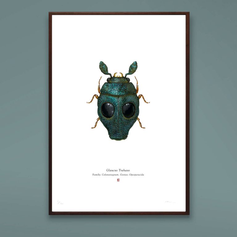 Arthropoda Iconicus: A Star Wars-Inspired Journey into the World of ...