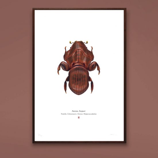 Arthropoda Iconicus: A Star Wars-Inspired Journey into the World of ...