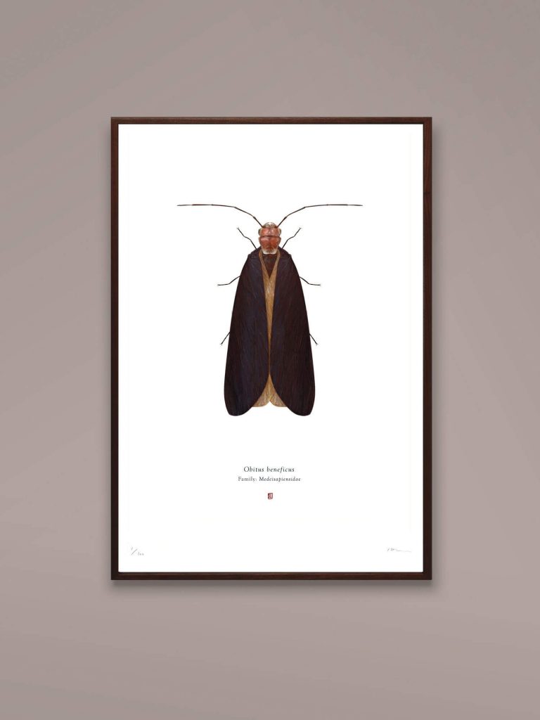 Arthropoda Iconicus: A Star Wars-Inspired Journey into the World of ...