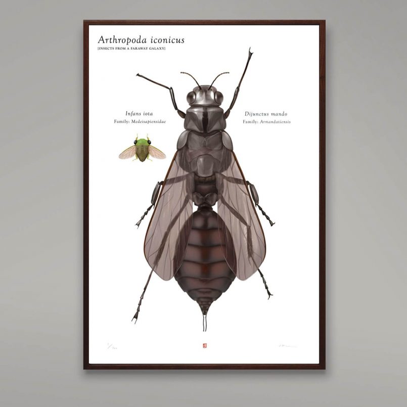 Arthropoda Iconicus: A Star Wars-Inspired Journey into the World of ...