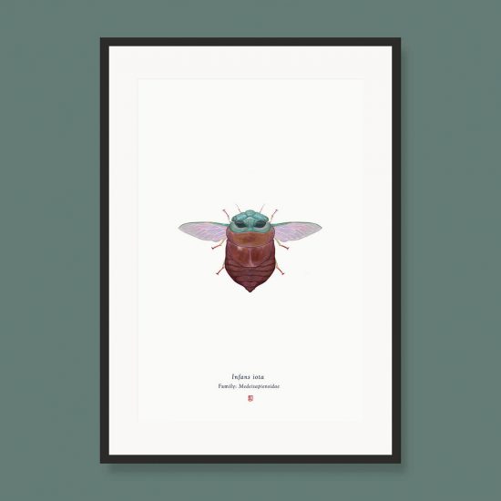 Arthropoda Iconicus: A Star Wars-Inspired Journey into the World of ...