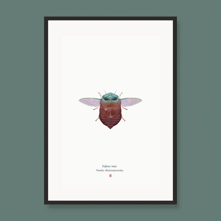 Arthropoda Iconicus: A Star Wars-Inspired Journey into the World of ...