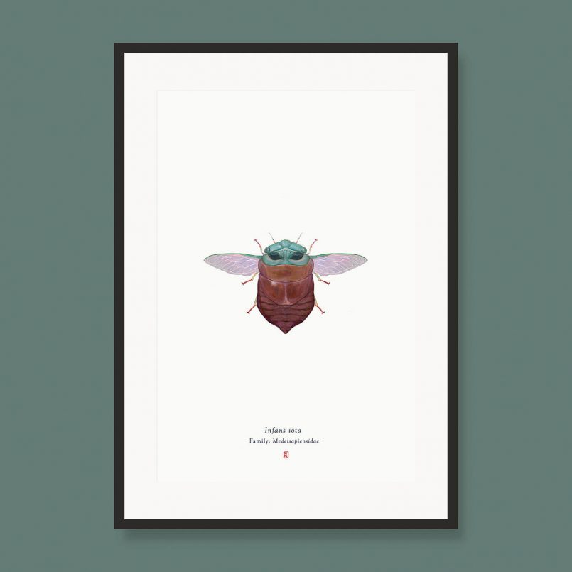 Arthropoda Iconicus: A Star Wars-Inspired Journey into the World of ...