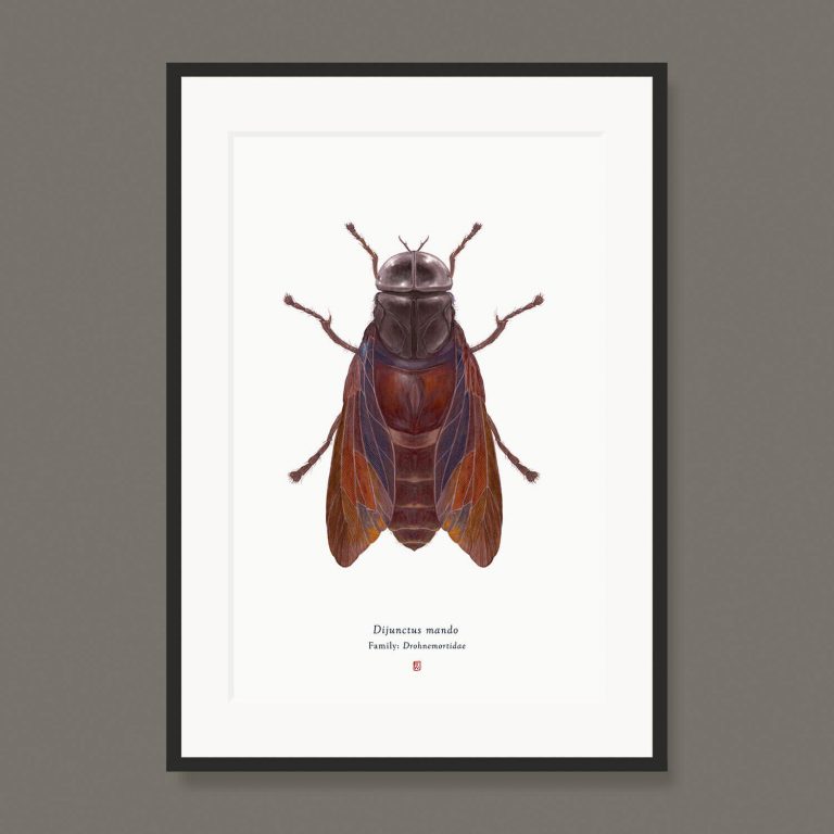 Arthropoda Iconicus: A Star Wars-Inspired Journey into the World of ...