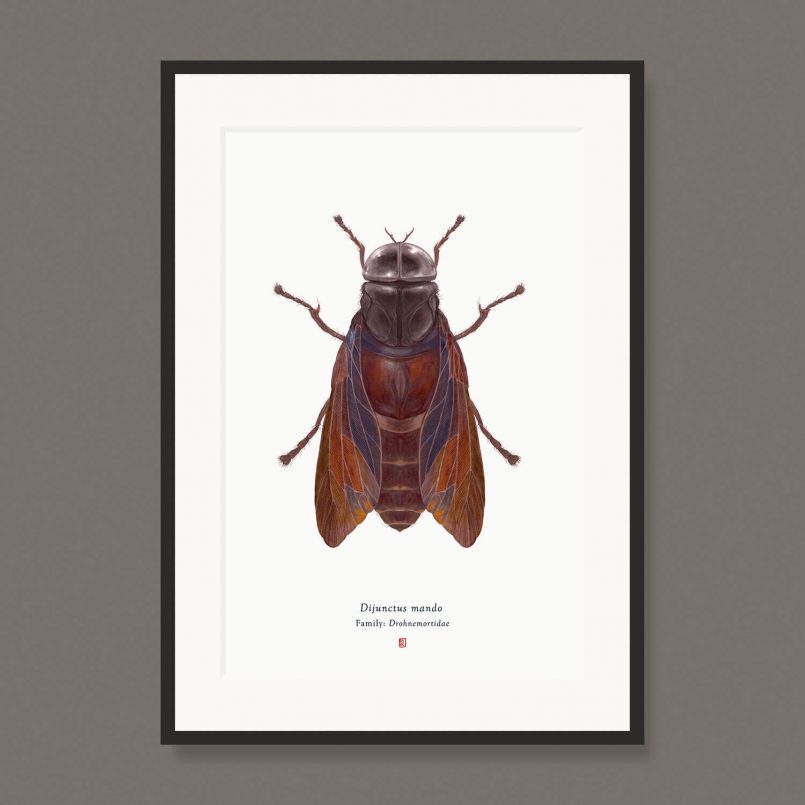 Arthropoda Iconicus: A Star Wars-Inspired Journey into the World of ...