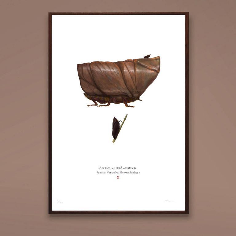 Arthropoda Iconicus: A Star Wars-Inspired Journey into the World of ...