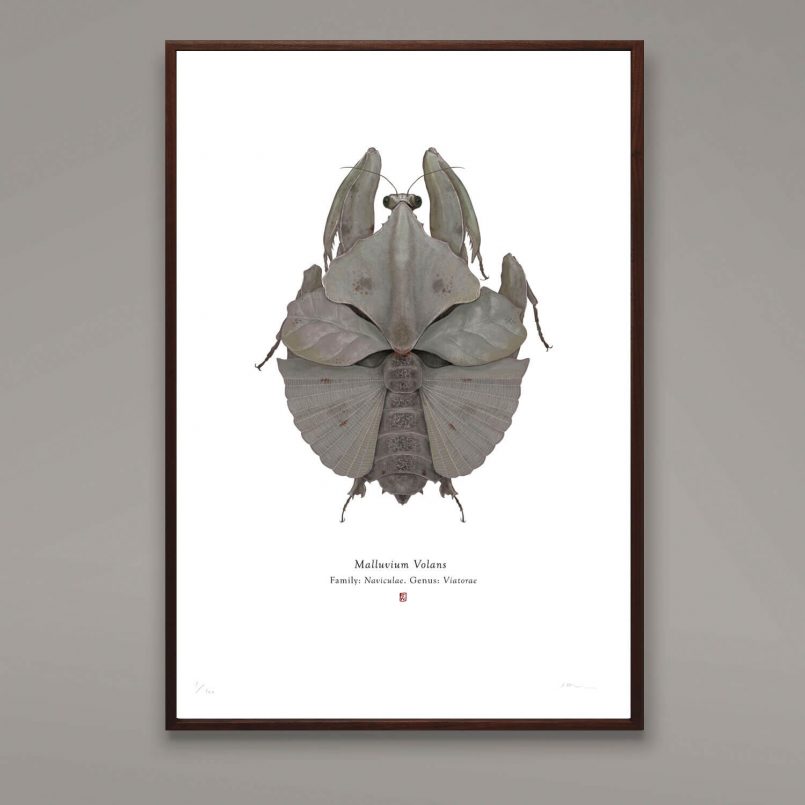 Arthropoda Iconicus: A Star Wars-Inspired Journey into the World of ...