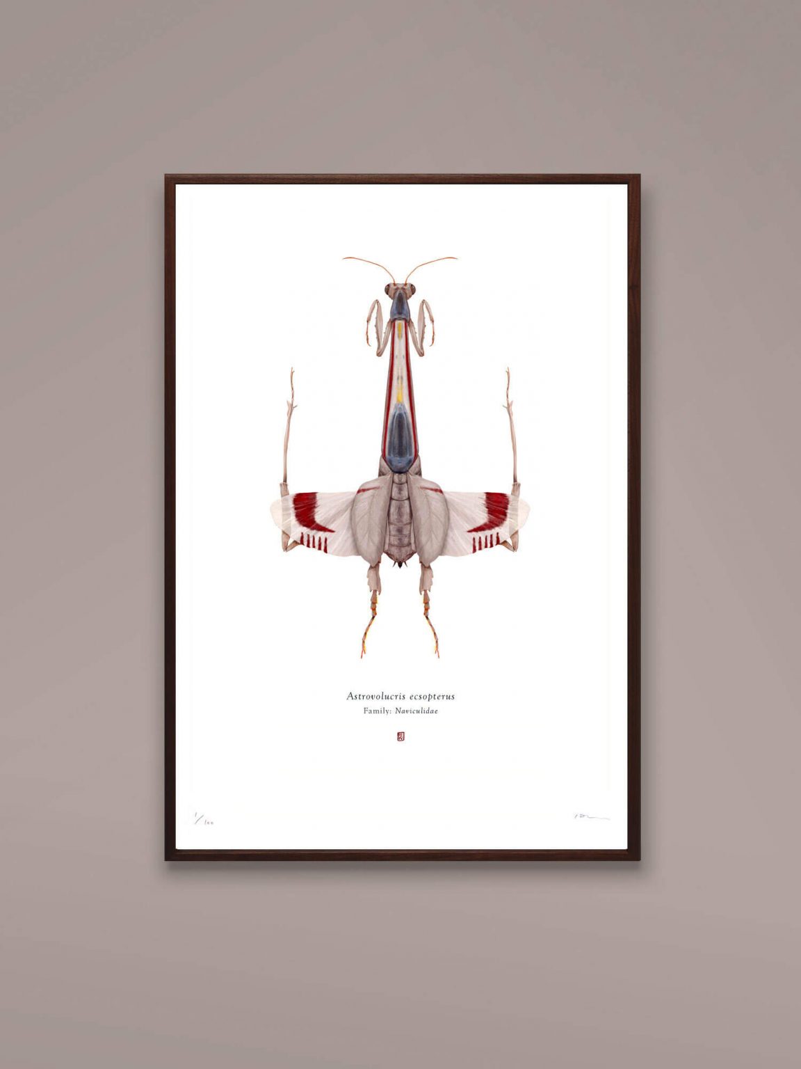 Arthropoda Iconicus: A Star Wars-Inspired Journey into the World of ...