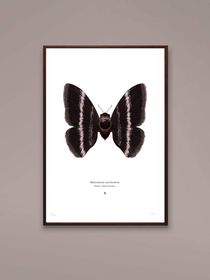 Arthropoda Iconicus: A Star Wars-Inspired Journey into the World of ...