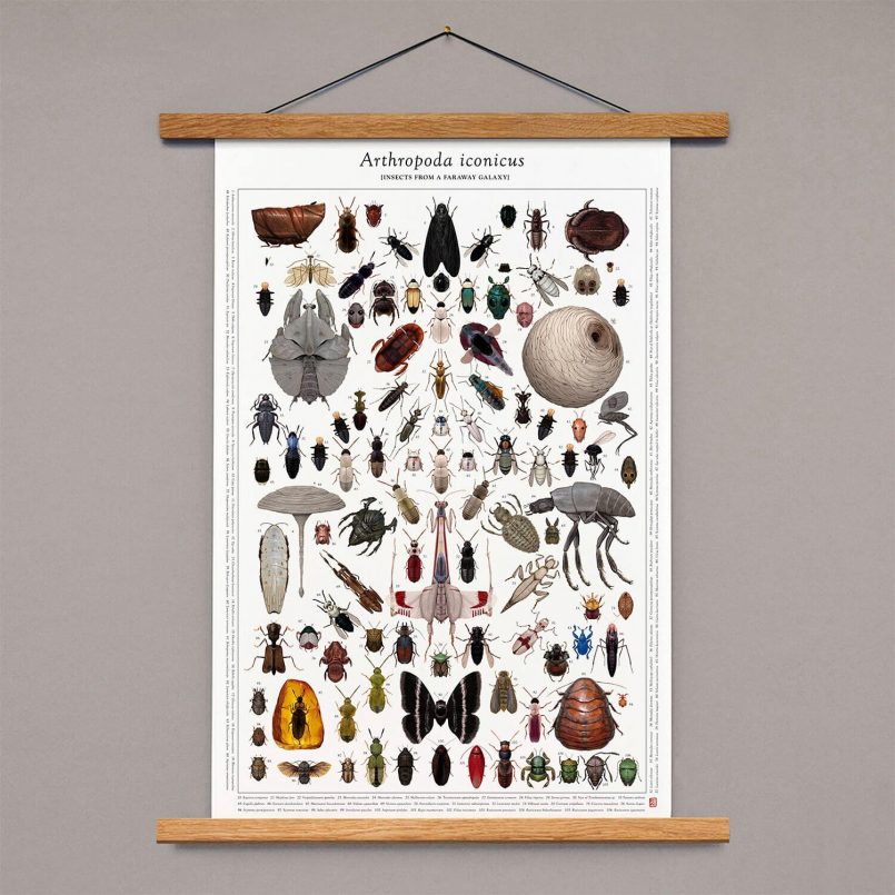 Arthropoda Iconicus: A Star Wars-Inspired Journey into the World of ...