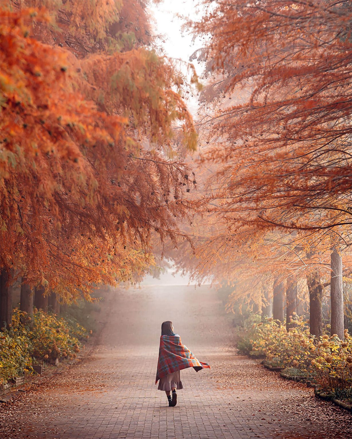 Awe-Inspiring Photos of Japan by Tatsuto Shibata | Daily design ...