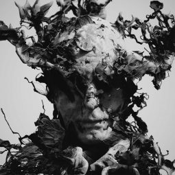 Strands: Surreal Digital Portraits by Lee Griggs | Daily design ...