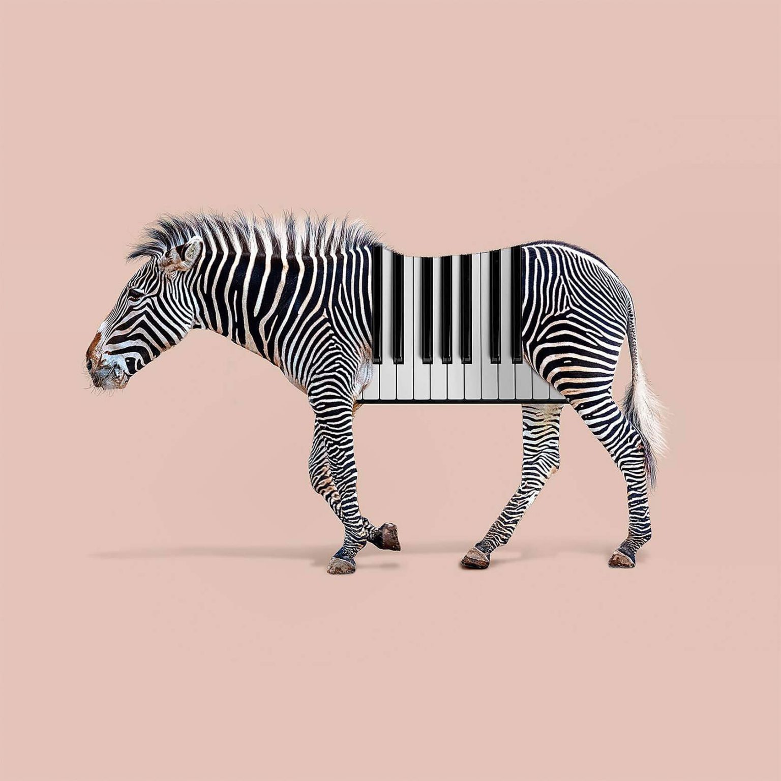 Amusing Animal Mashups by Les Créatonautes | Daily design inspiration ...