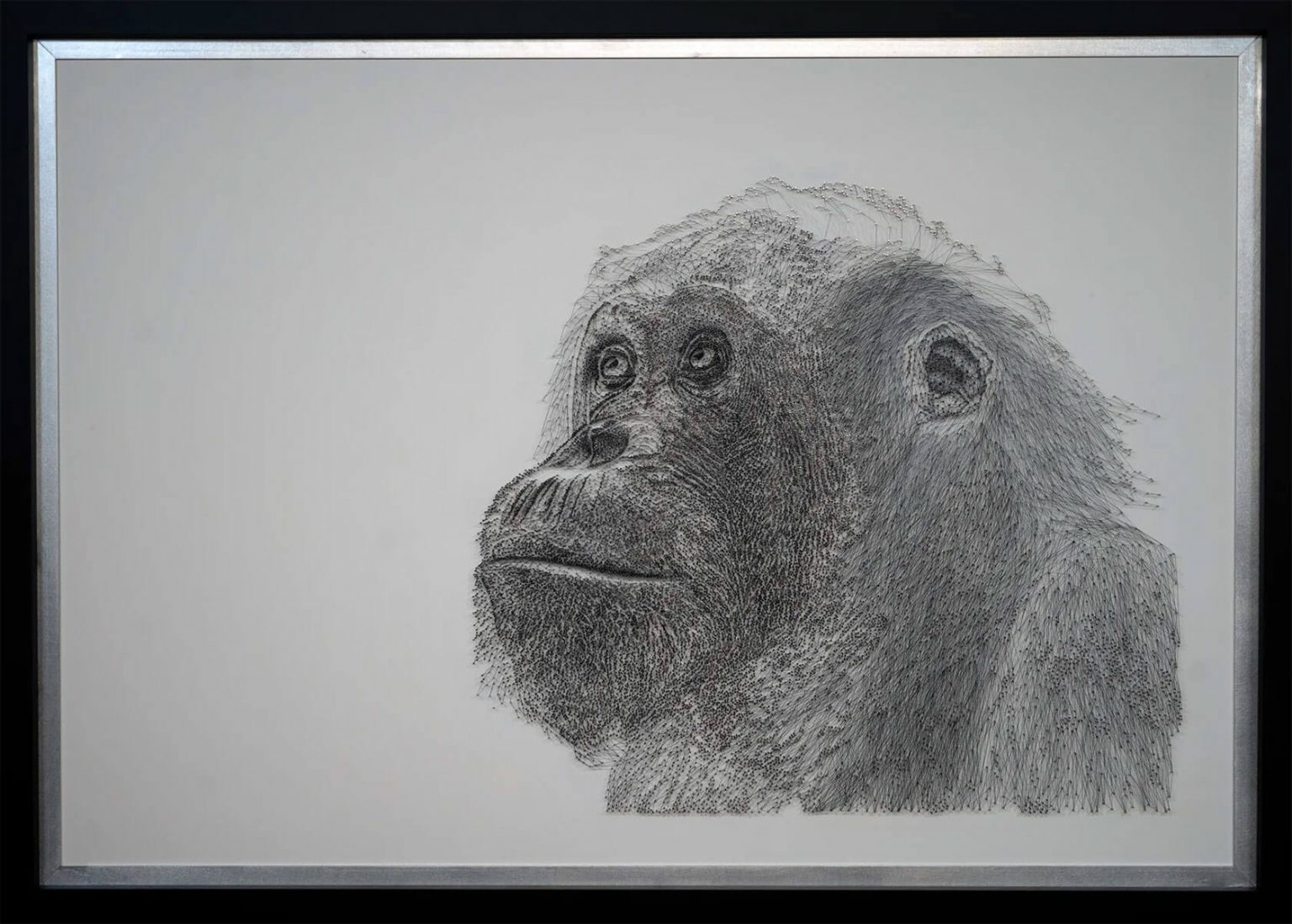 Intricate String Art by Ben Koracevic | Daily design inspiration for ...