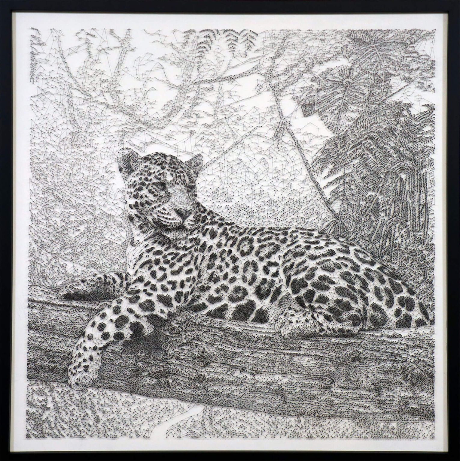 Intricate String Art by Ben Koracevic | Daily design inspiration for ...