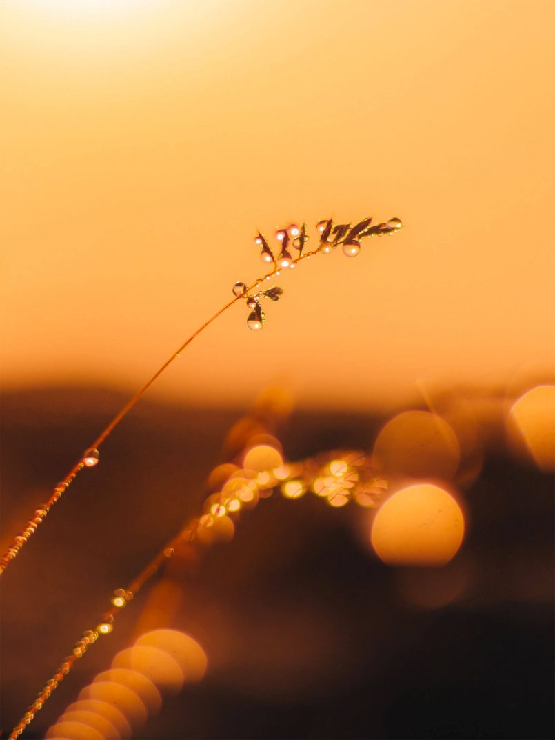 Idyllic Photos of Sweden by Marina Weishaupt | Daily design inspiration ...